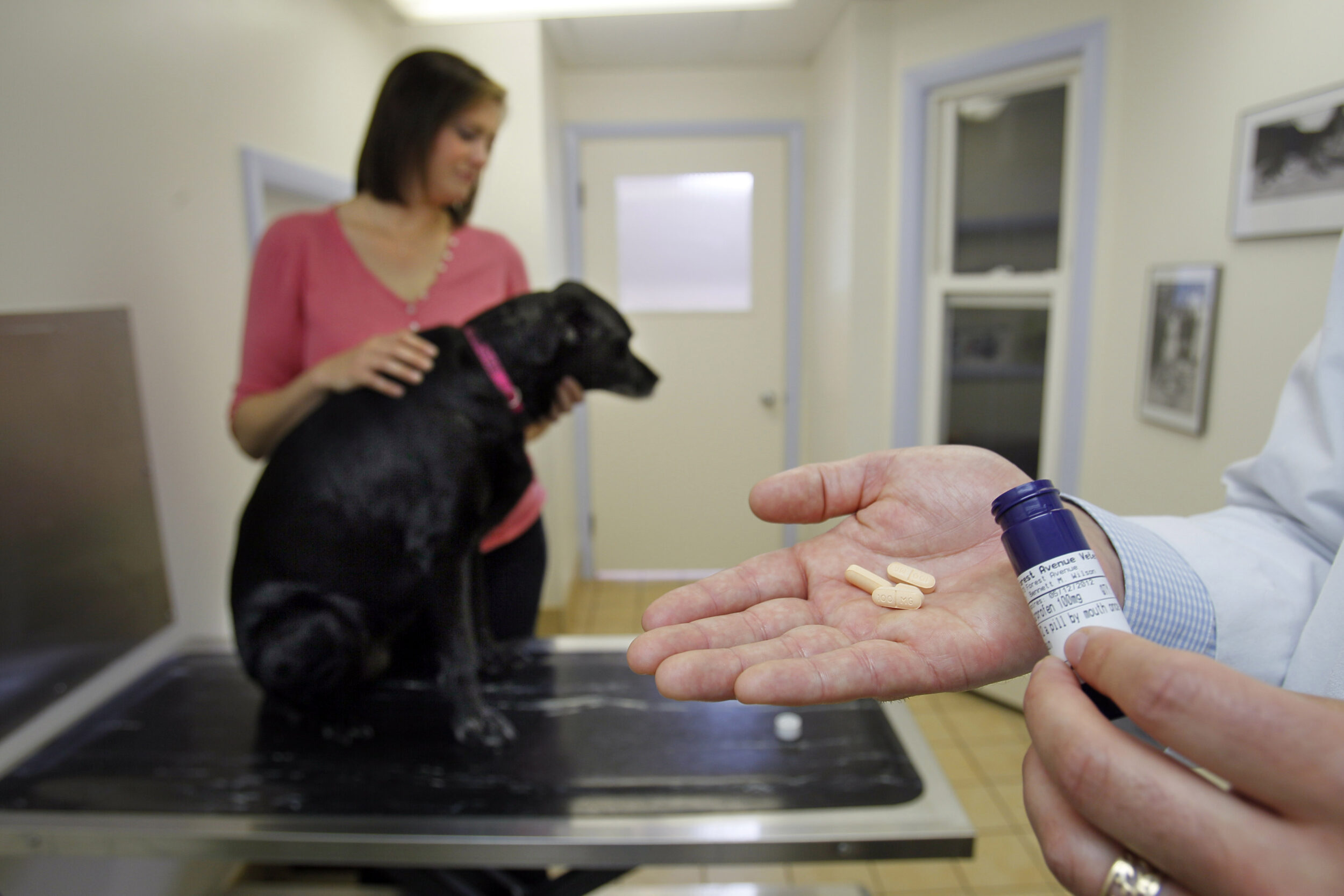 Will the vet be getting cheaper? - City News